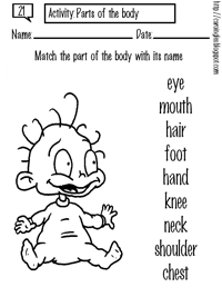 Vocabulary of the body - Actiludis