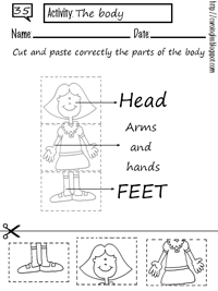 Vocabulary of the body - Actiludis