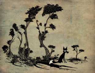 Haunted_by_Culpeo_Fox - Actiludis