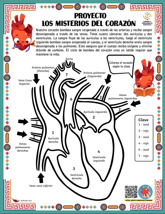 Los misterios del corazón - Actiludis