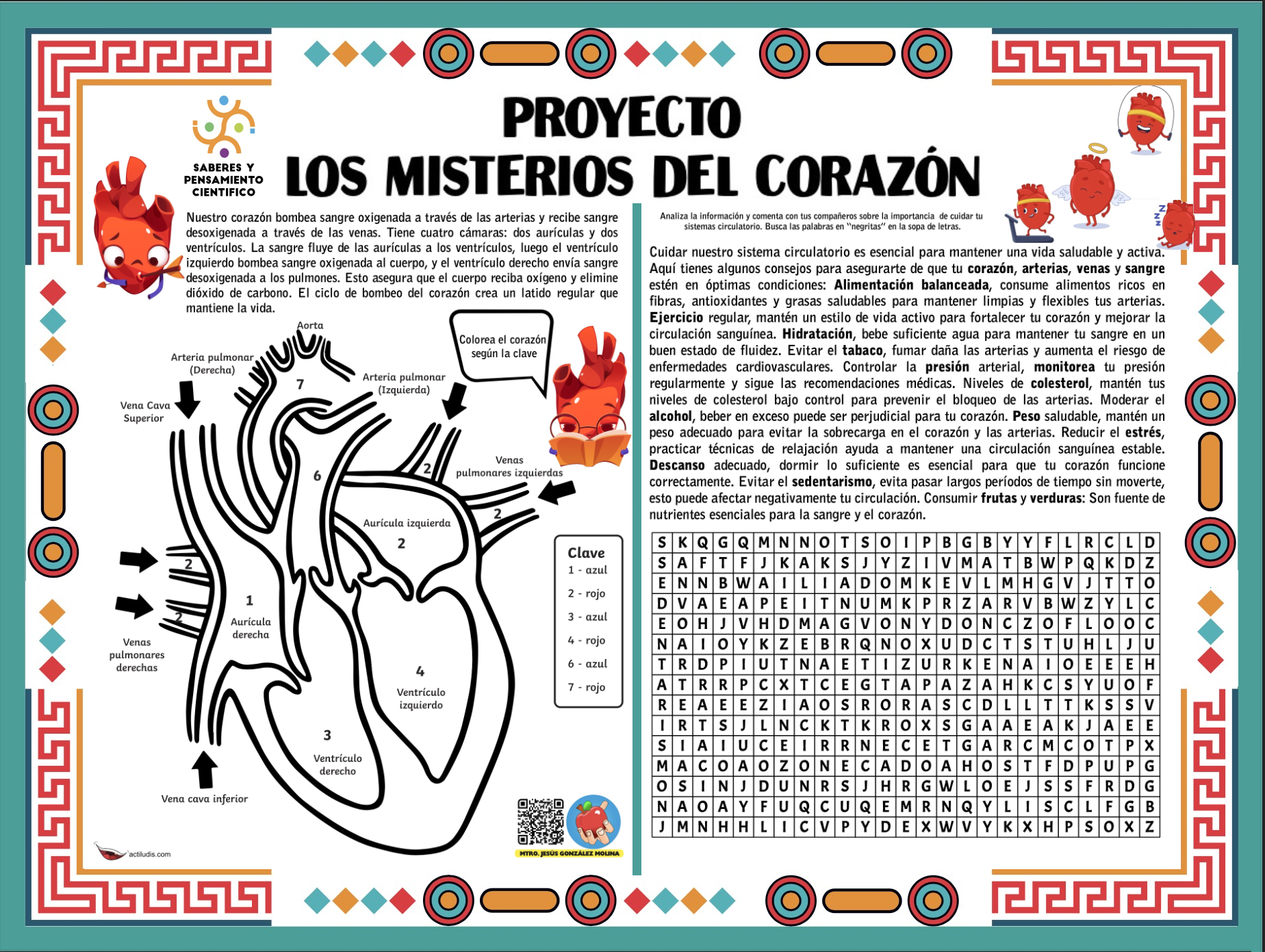 Ficha De Trabajo De Las Partes Del Corazon