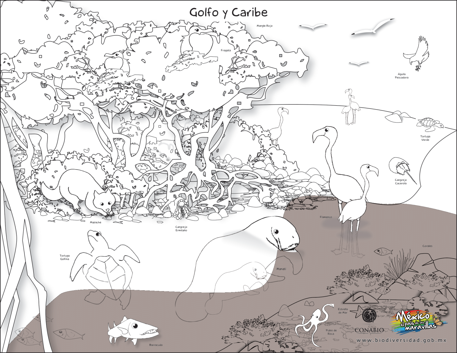 ANIMALES-Y-SU-HABITAT-PARA-COLOREAR-2 - Actiludis