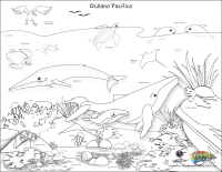 ANIMALES-Y-SU-HABITAT-PARA-COLOREAR-3 - Actiludis