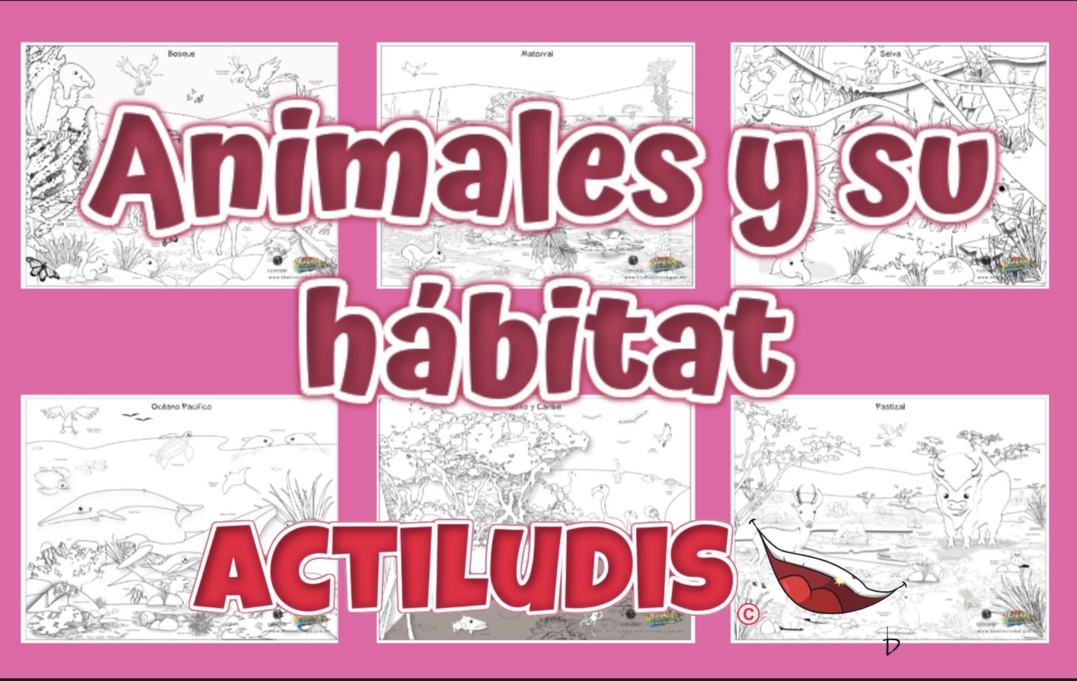 animales-y-su-habitat - Actiludis