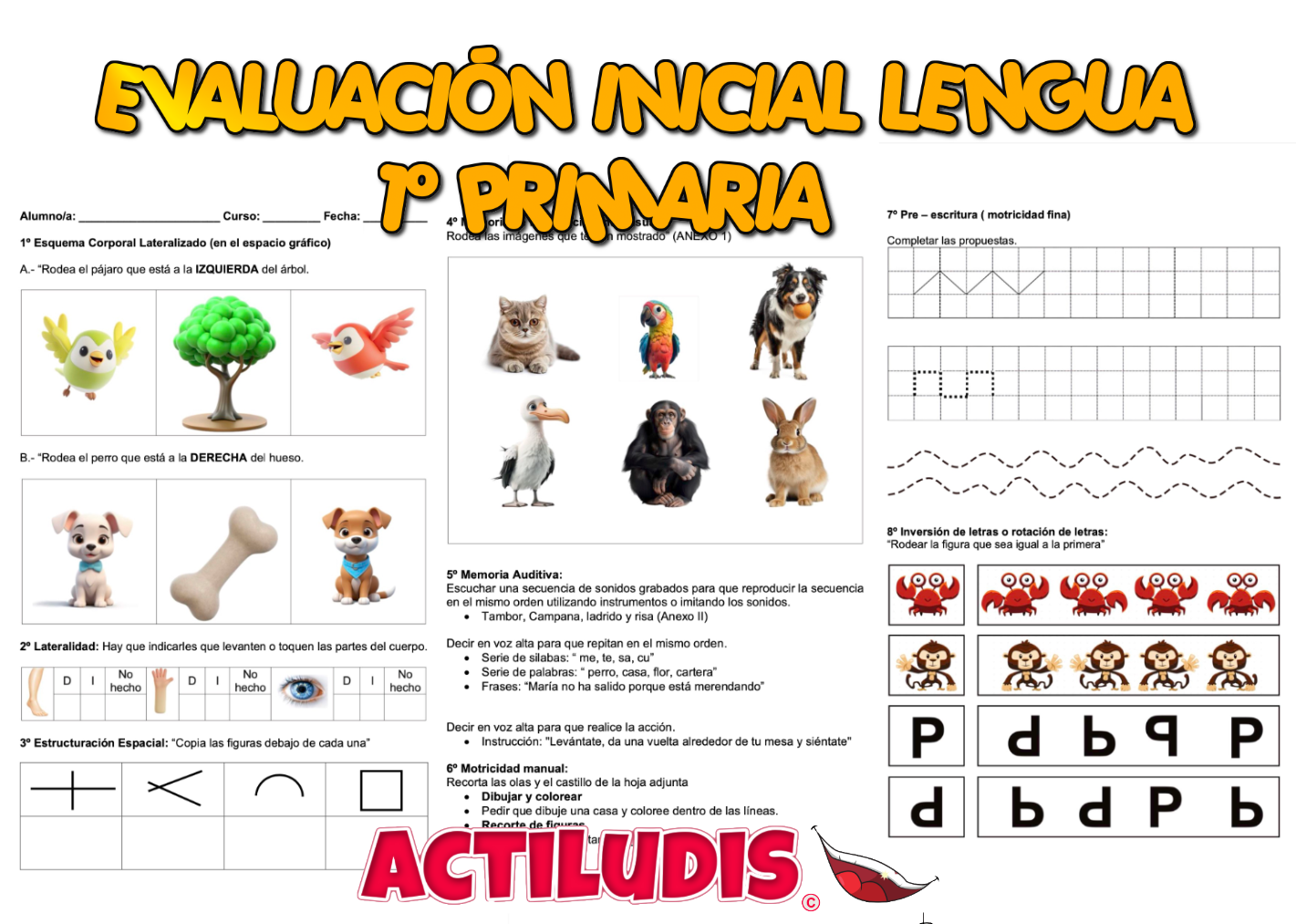 Evaluación Inicial de Lenguaje en 1º de Primaria - Actiludis