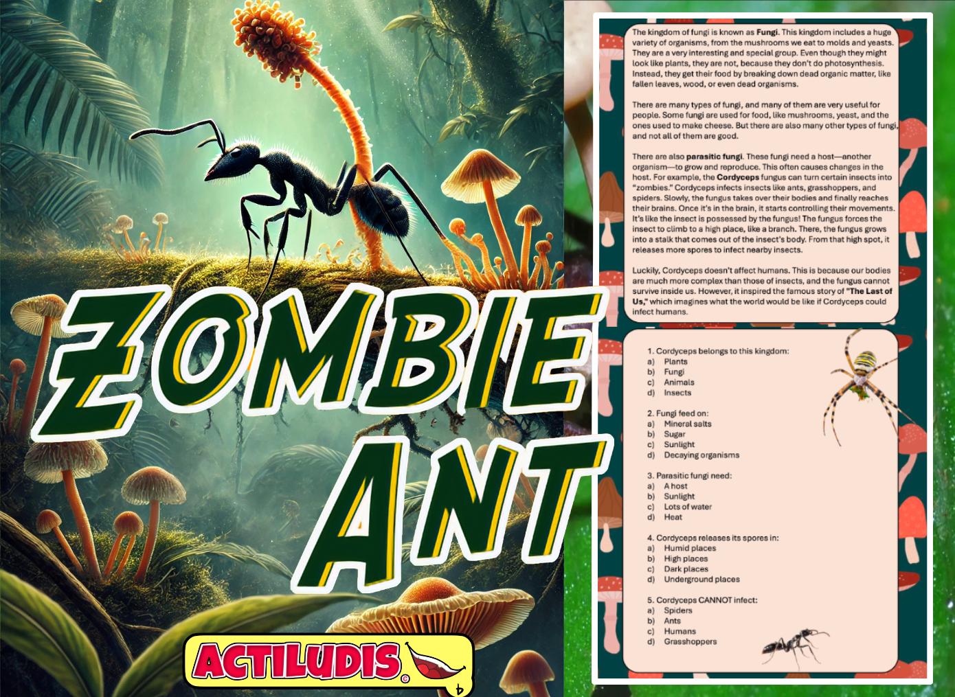 Zombie Archivos - Actiludis